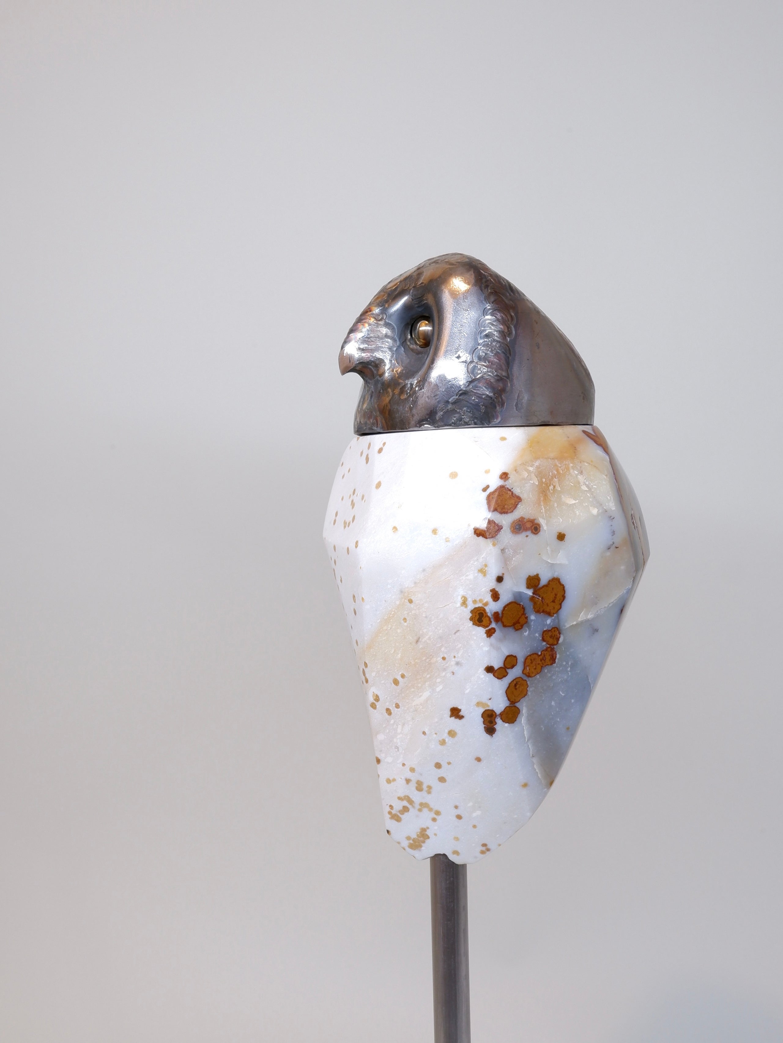 Shop All | Tobias Luttmer